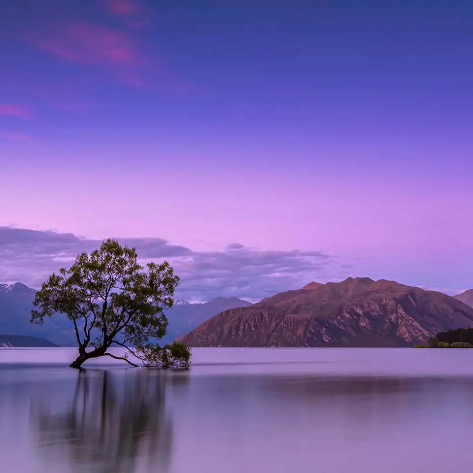 Planning for Financial Goals | Investment Advisors | Choreo Advisors ...